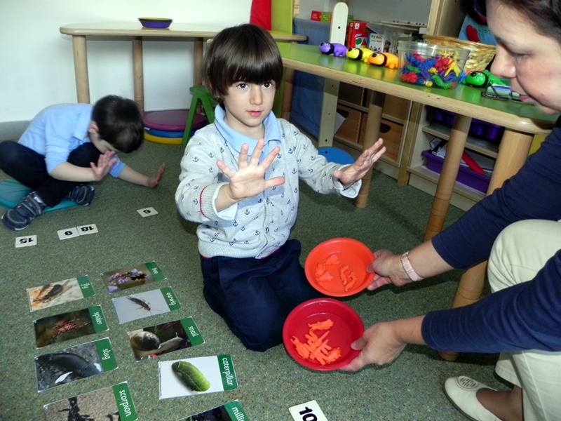 EYFS ‘Going on Bug Hunt’ - International British School of Bucharest