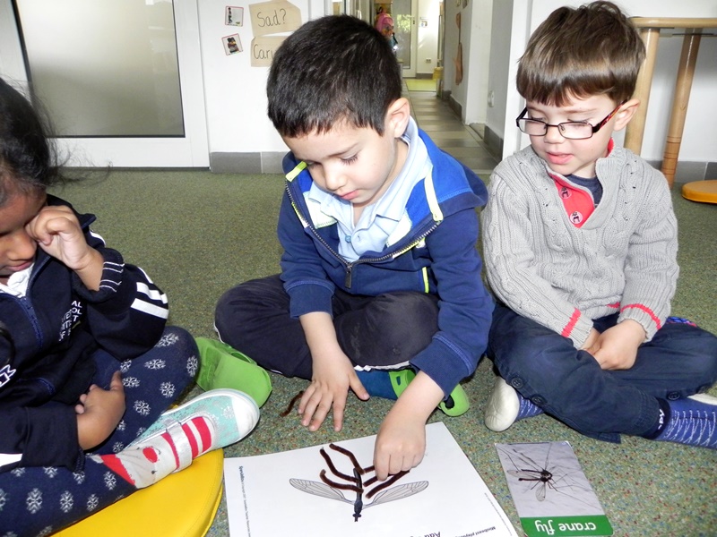 EYFS ‘Going on Bug Hunt’ - International British School of Bucharest