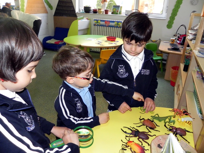 EYFS ‘Going on Bug Hunt’ - International British School of Bucharest